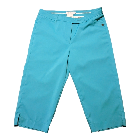 Cracked Wheat | Pants & Jumpsuits | Cracked Wheat Teal Clam Diggers ...